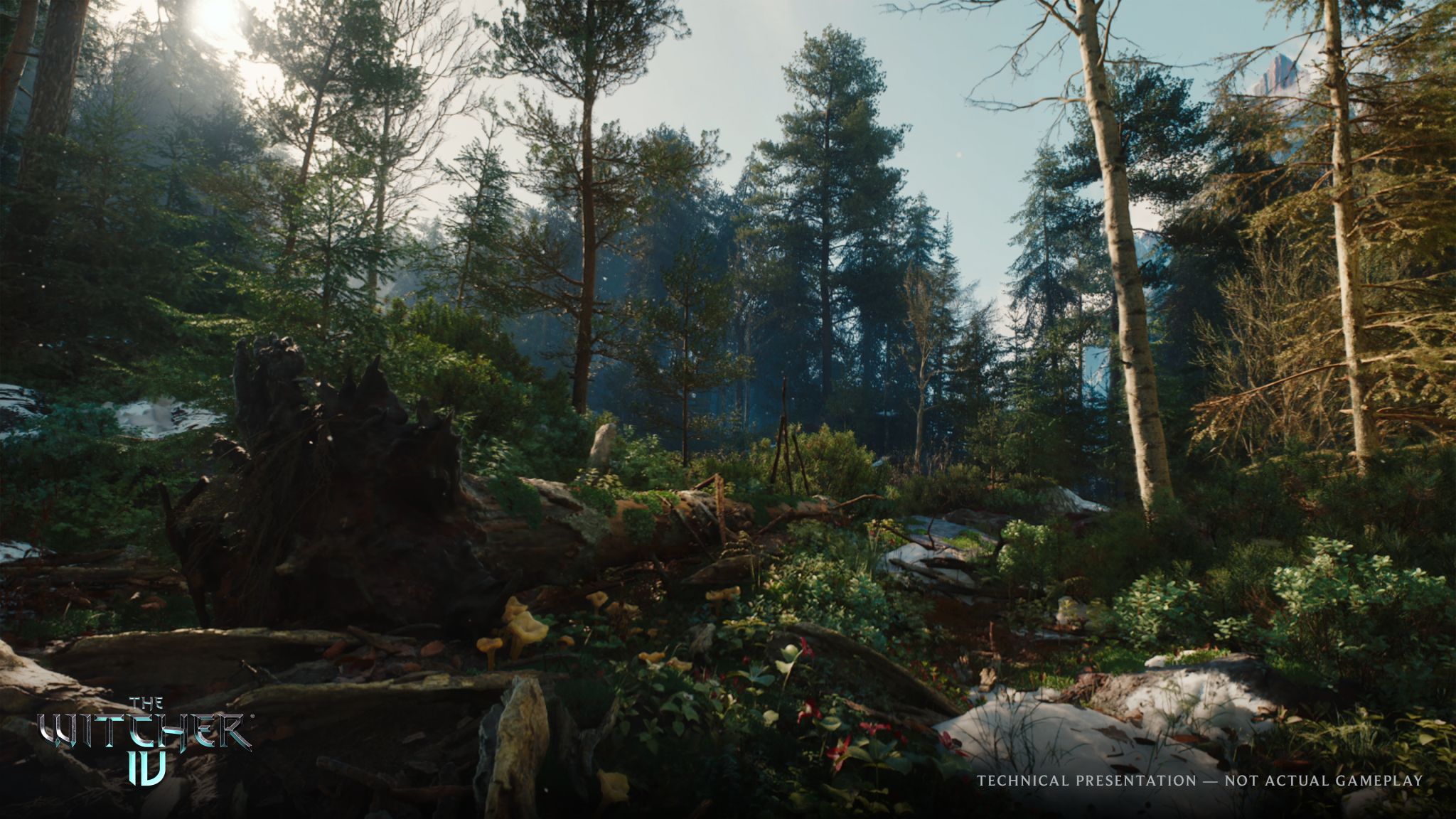 The Witcher 4 Unreal Engine 5 Tech Demo Wasn’t A Gameplay - GameBaba ...